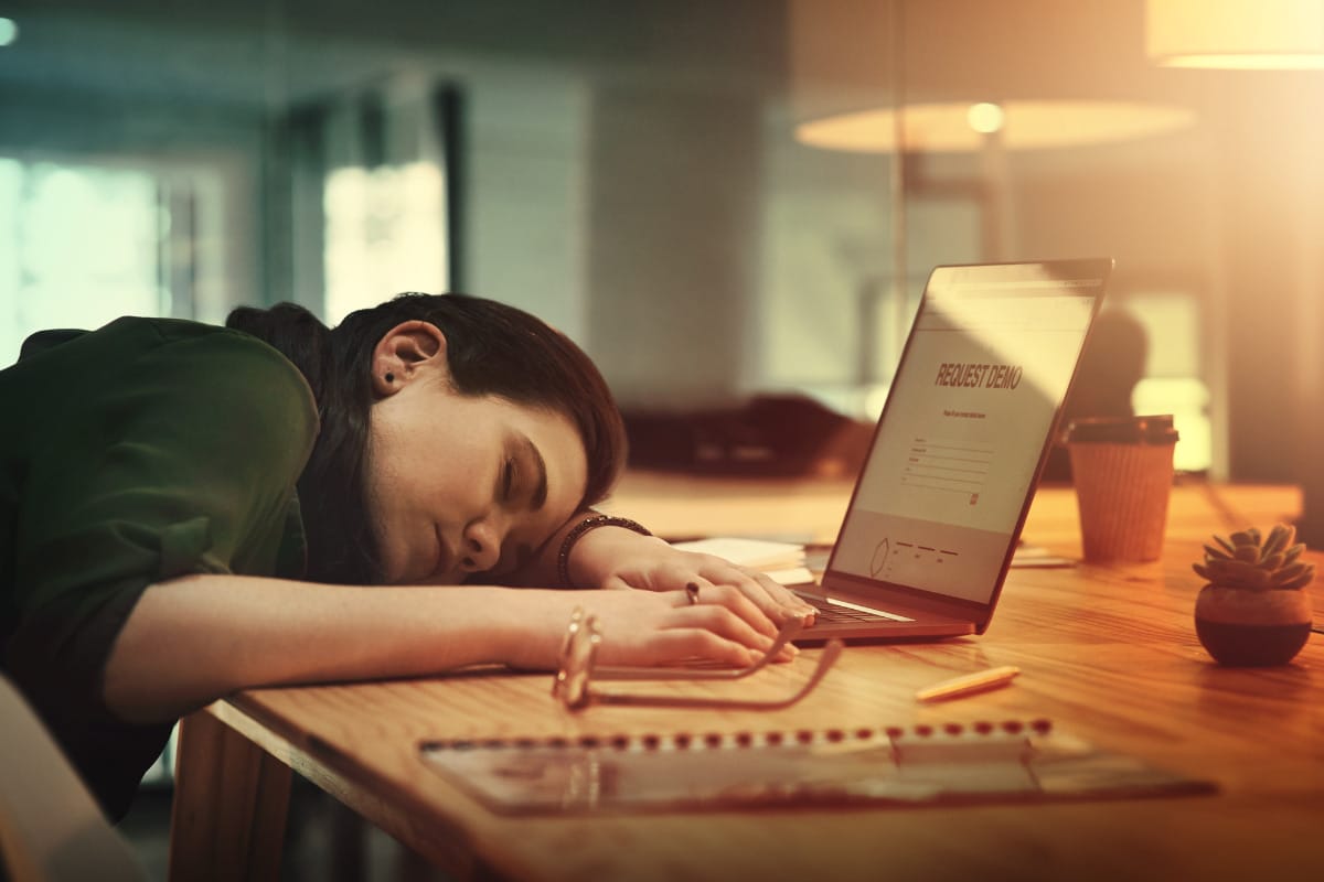 When do you apply for university? - Unifresher