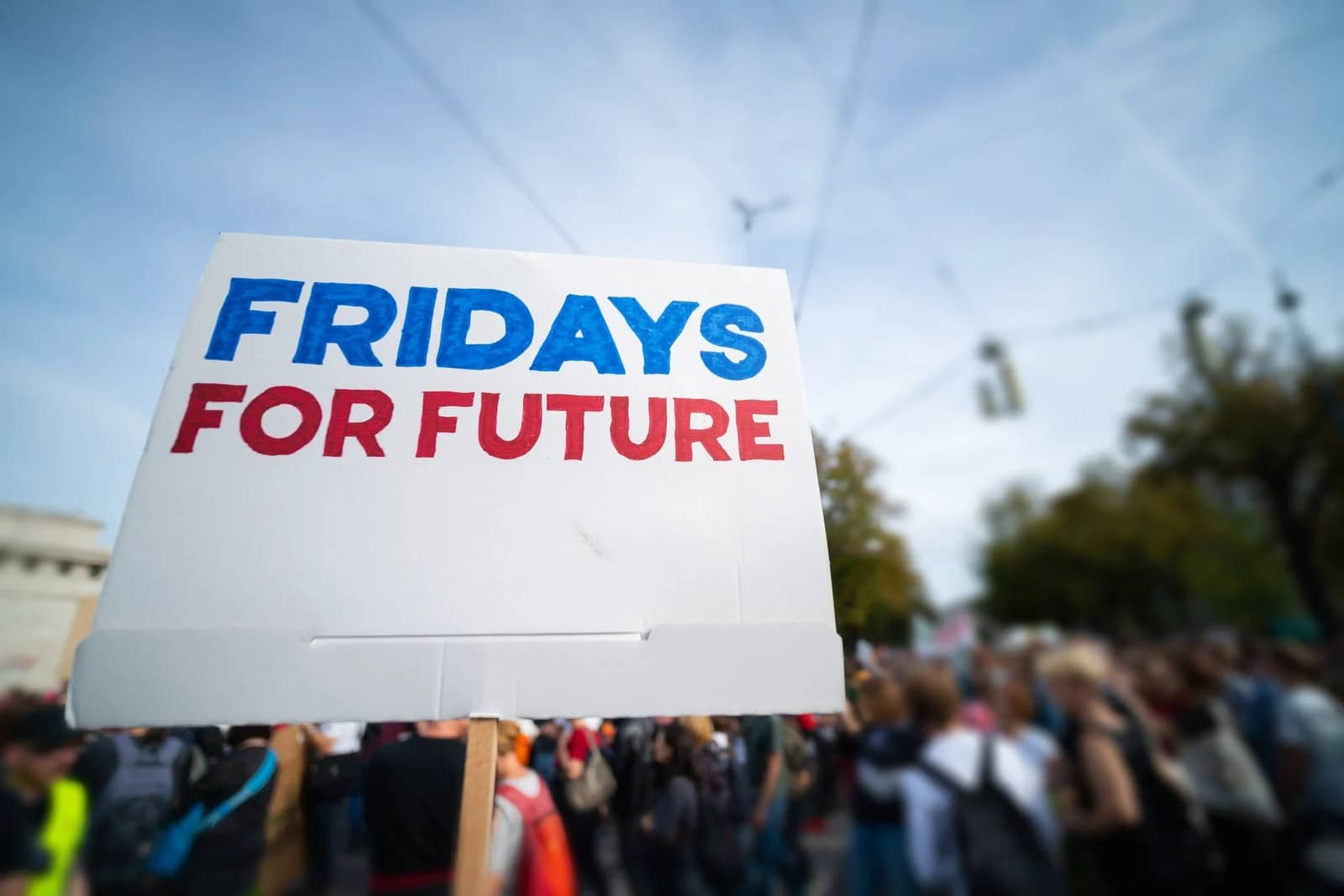 How to get work experience in politics - Unifresher